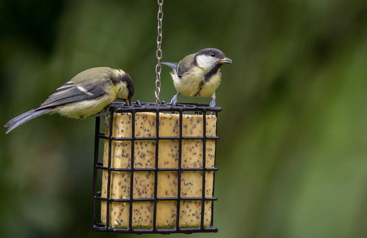 Our Story – Unipet International Ltd