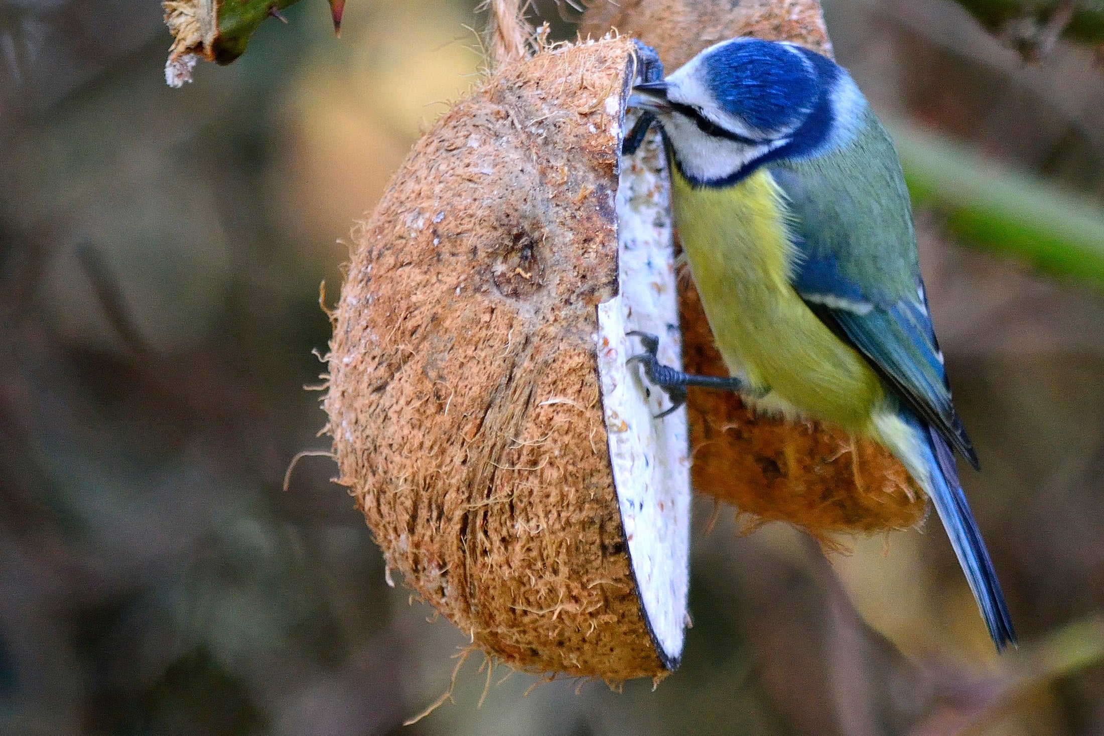 Unipet International Ltd